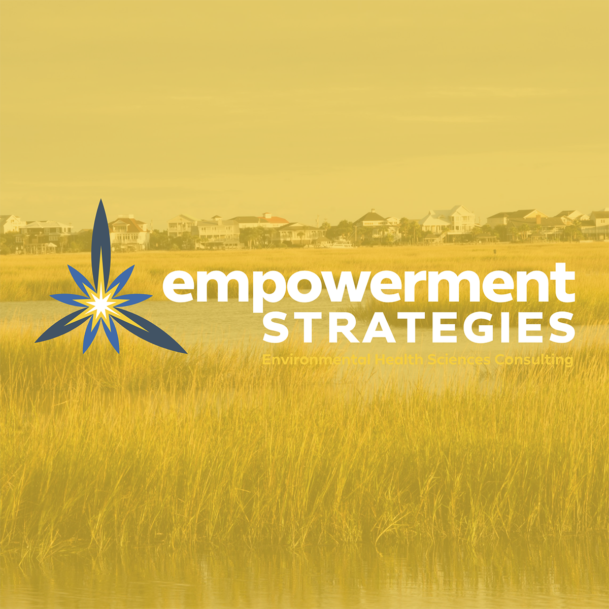 Empowerment Strategies | Environmental Sustainability Consulting